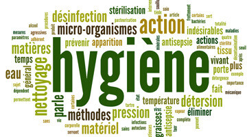 Définition GBPH: Guide Bonnes Pratiques d'Hygiène | nelinkia.com